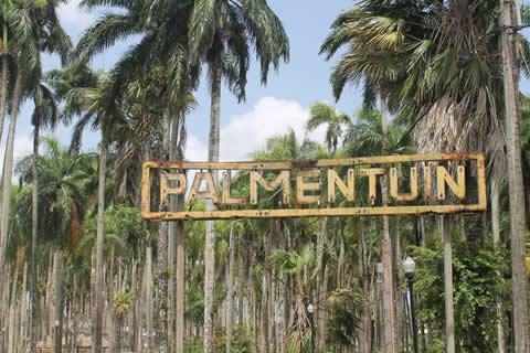 De Palmentuin is een bezienswaardigheid in Paramaribo | CityZapper